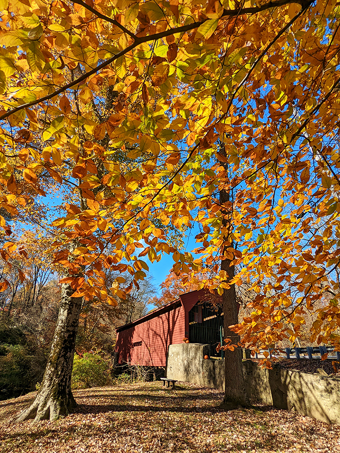 Fall foliage creates nature's perfect frame for this historic gem. When autumn leaves meet crimson siding, photographers reach for their cameras instinctively.