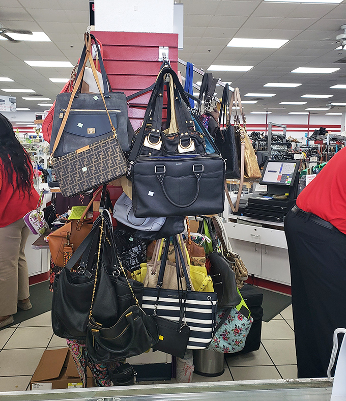 Designer handbags cluster like exotic fruit, including some brands you'd normally need a second mortgage to afford.