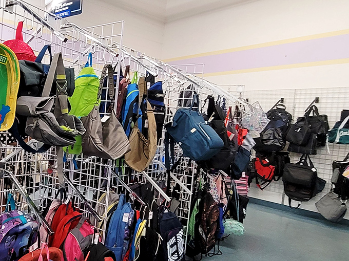 Backpack heaven for the budget explorer – from hiking daypacks to school bags ready for their next adventure.