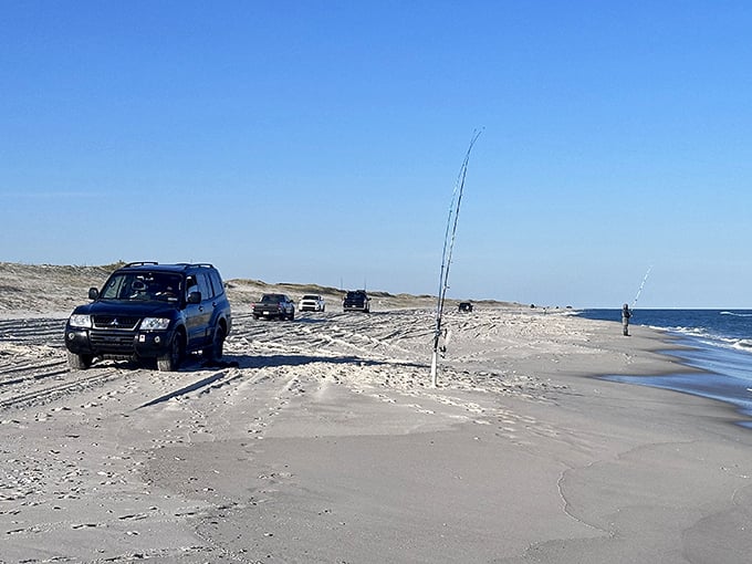Four-wheel-drive vehicles line the shore during fishing season, where the real social network happens with rods, reels and tall tales.