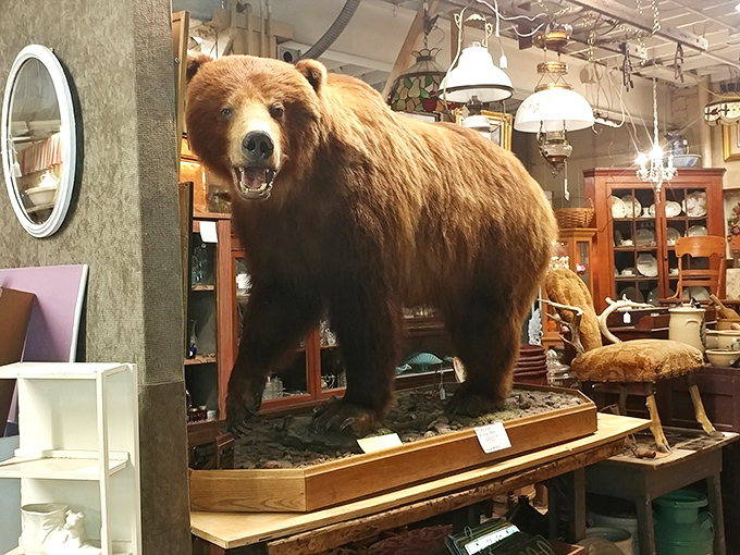 Not your average mall centerpiece! This taxidermy bear stands guard over furniture and collectibles, a conversation starter that stops shoppers in their tracks.