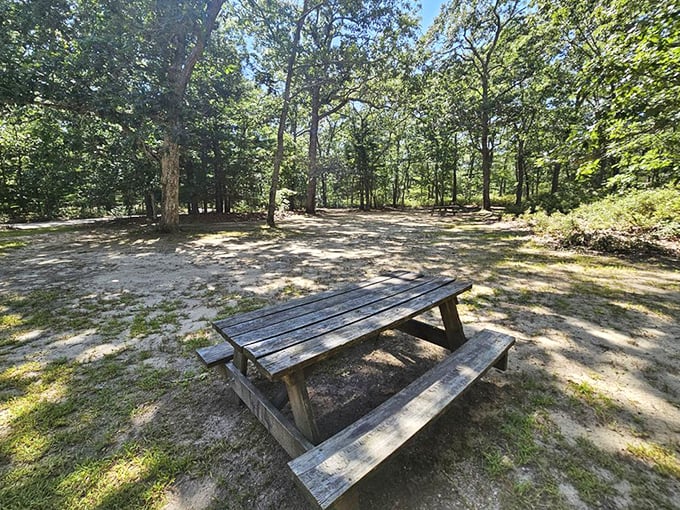The humble picnic table &ndash; nature's dining room where everything somehow tastes better. No reservation required, million-dollar view included.