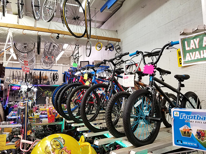 Bicycles hanging like mechanical fruit, waiting for someone to pluck them down and pedal into new adventures.
