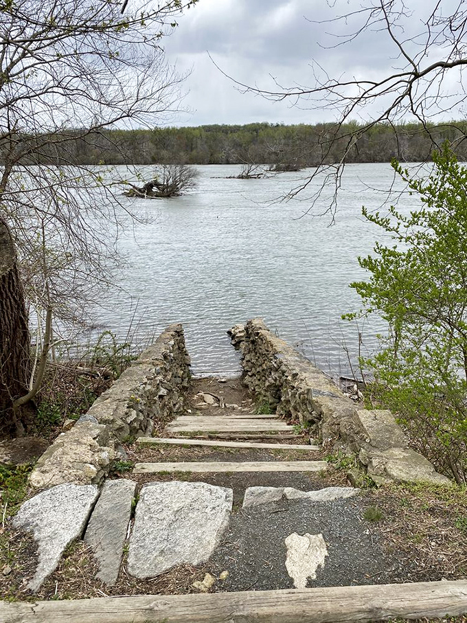 Stone steps descending to meet the river, like nature's grand entrance. This pathway has welcomed countless adventurers to the Susquehanna's embrace.