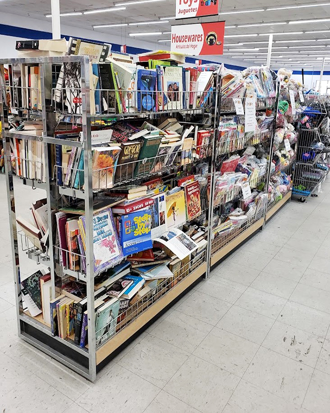 Books upon books upon books - literary archaeology where dog-eared paperbacks might hide first editions among their ranks.