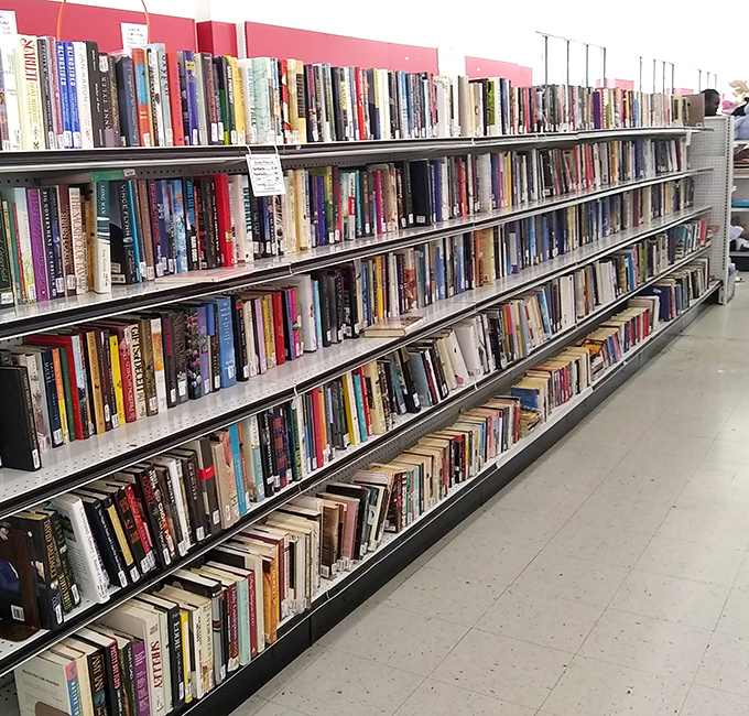 Books standing at attention like old friends waiting to share their stories over coffee and a quiet afternoon.