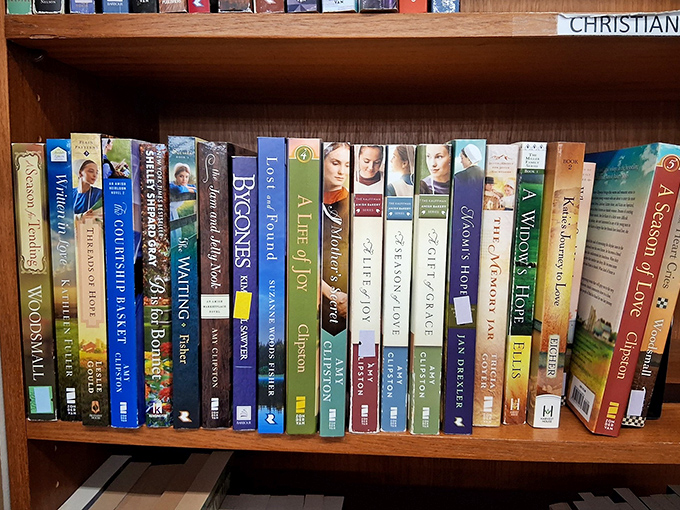 Literary adventures await on these shelves, where bestsellers and forgotten gems coexist at reader-friendly prices.