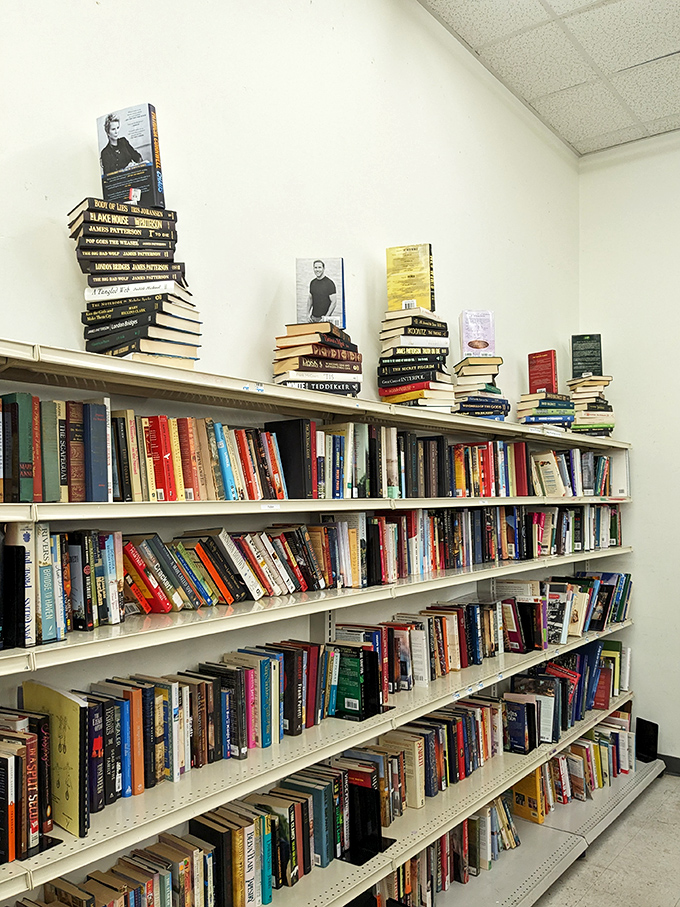 Book lovers, prepare to lose track of time. These shelves hold literary journeys and forgotten bestsellers just waiting for rediscovery.
