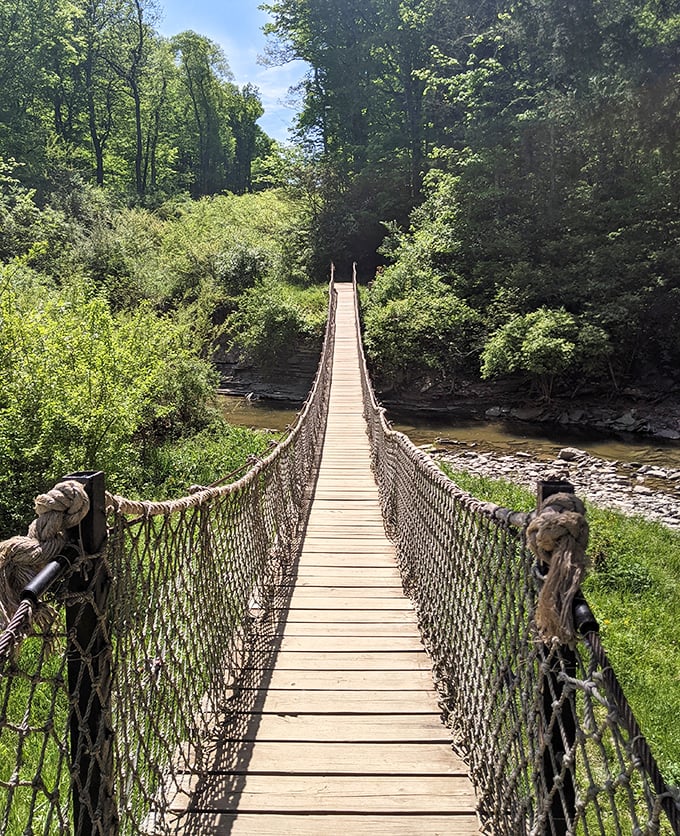 This suspension bridge promises adventure with every step. The slight wobble is nature's way of saying "put down your phone and hold the railing." 
