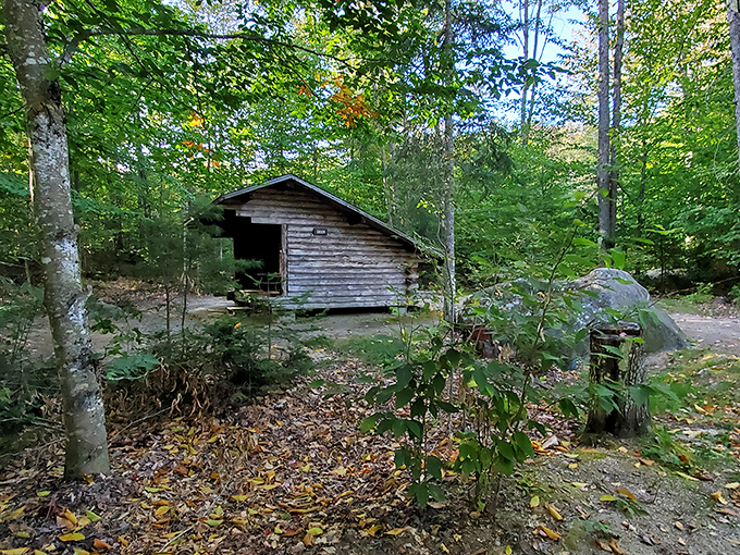 The lean-to of your woodland dreams. This rustic shelter has witnessed countless starry nights and campfire stories.