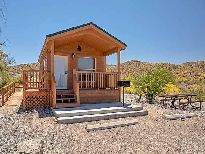 Cozy cabins at Alamo Lake offer desert luxury without the fuss. Nothing says "vacation upgrade" like solid walls between you and whatever made that noise outside.