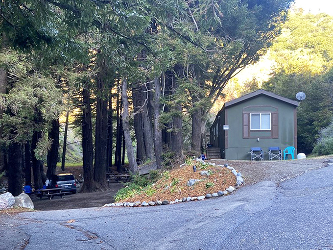 Forest cabin living &ndash; where "roughing it" means spotty Wi-Fi but spectacular surroundings that no filter could possibly improve.