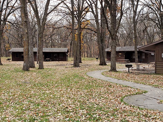 Cozy cabins nestled among autumn leaves offer that perfect blend of wilderness and "I-still-need-a-real-bed" comfort.