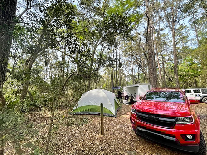 Camping with a wild twist&mdash;where your morning coffee comes with a soundtrack of woodpeckers and your neighbors might include curious raccoons.