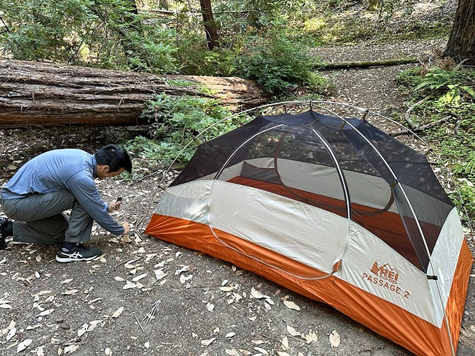 Home sweet temporary home. Setting up camp in redwood country—where the floor may be dirt, but the ceiling is cathedral-worthy.
