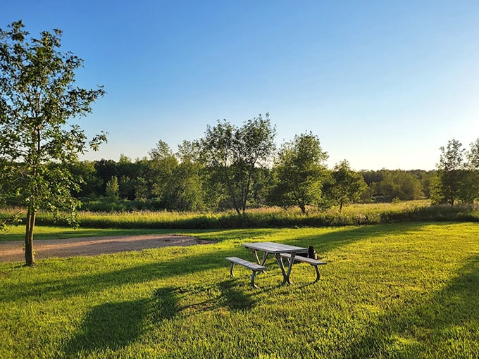 A lone picnic table bathed in golden hour light&mdash;the universe's way of saying "lunch break approved."
