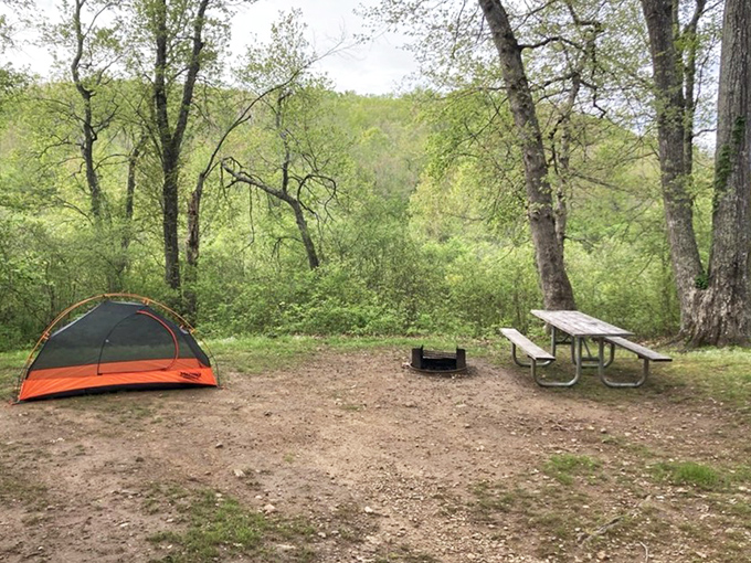 Camping simplified: one tent, one picnic table, zero emails. This peaceful site offers the five-star accommodations of the forest.