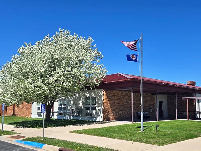 Harmony's city offices embody small-town practicality—no marble columns or grand facades, just efficient service under the shade of a flowering spring tree.