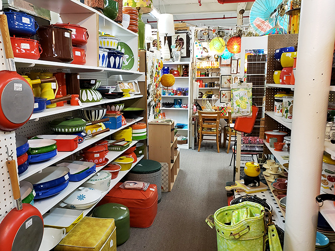 A kaleidoscope of vintage kitchenware transforms ordinary shelves into a museum of domestic design evolution. Dinner parties were more colorful back then.