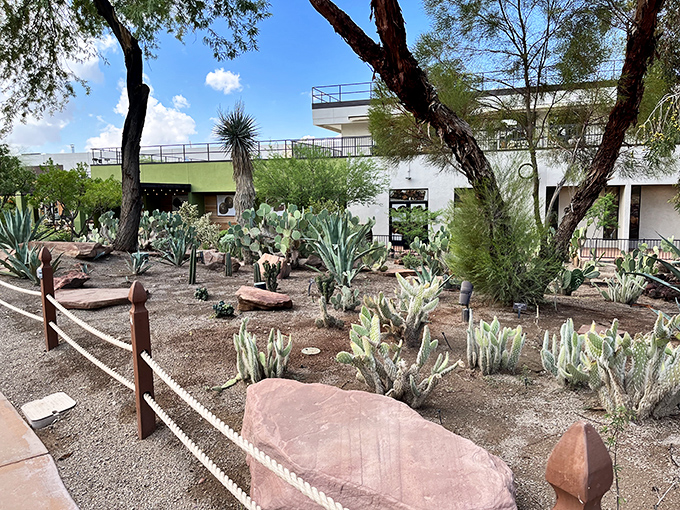 The garden's layout showcases desert plants in their natural splendor. Mother Nature's art gallery where every spiny specimen tells a story.