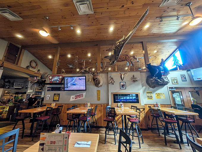 Trophy mounts and wooden accents create that perfect "successful fishing trip" atmosphere, even if your personal record is catching your sleeve at Bass Pro Shop.