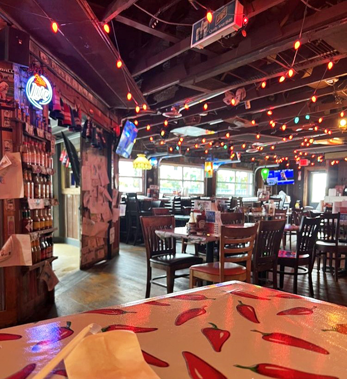 String lights overhead turn an ordinary meal into an occasion. The kind of place where dinner stretches into hours of conversation.