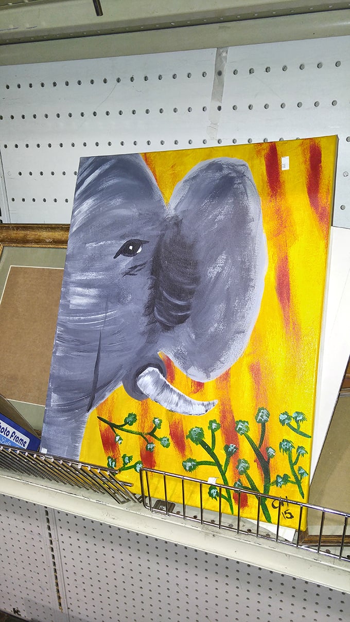 One shopper's discarded elephant painting becomes another's perfect quirky wall art &ndash; the thrill of the unexpected find is what keeps bargain hunters coming back.