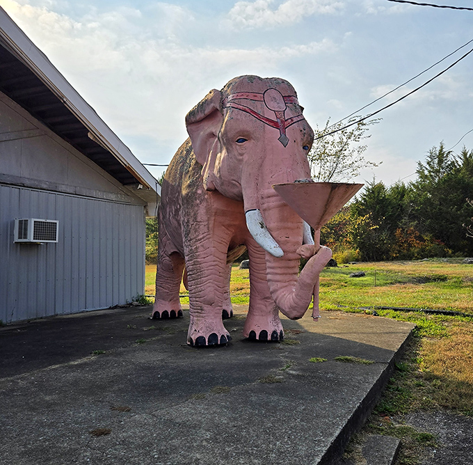 Not your average garden gnome! This pink elephant stands guard outside, a whimsical greeter that promises the unexpected awaits inside.