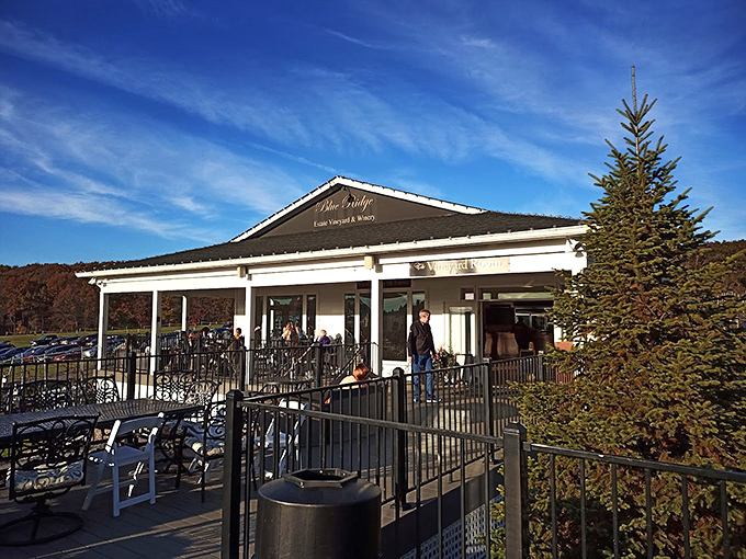 Autumn's palette provides the perfect backdrop for Blue Ridge's inviting porch, where fall wine tastings take on an extra dimension of seasonal magic.