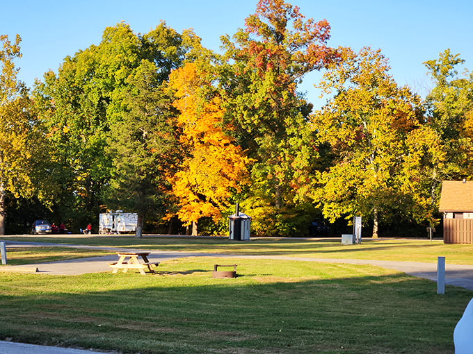 Fall's fiery display creates the perfect backdrop for picnics, where sandwiches taste better with a side of scenery.