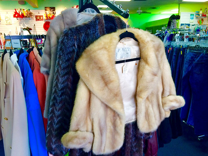Fur and faux fur jackets that whisper, "Darling, I once attended galas." Perfect for those three cold days Florida experiences annually.