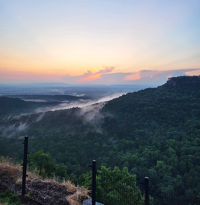 Morning fog transforms the valley into something straight out of a fantasy novel you'd actually read.