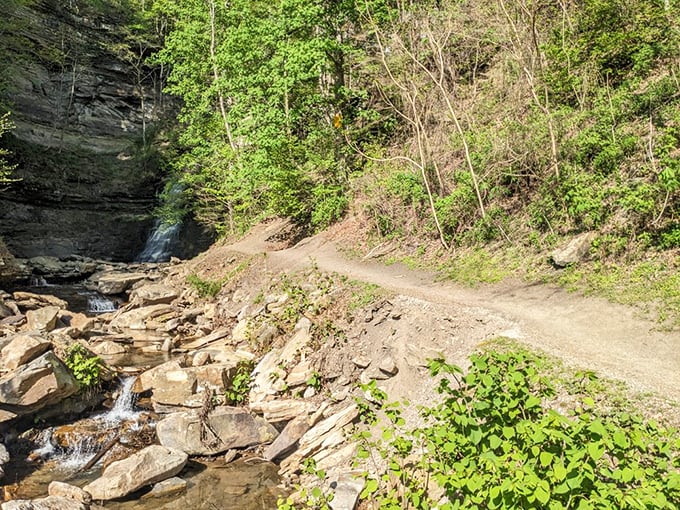 A muddy trail never looked so inviting. Each step brings you closer to that unmistakable sound of rushing water that promises something spectacular.