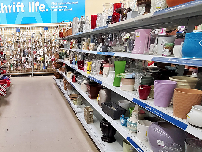 Glassware galore! From mid-century modern tumblers to quirky mugs, each shelf holds potential for your next favorite drinking vessel.