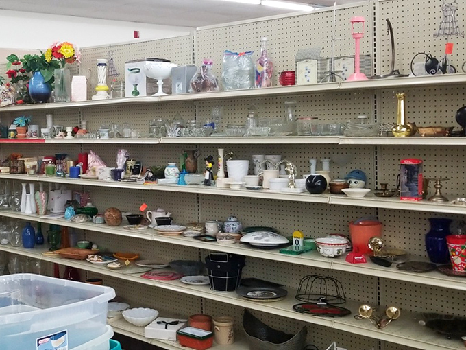 Glassware and knickknacks create a domestic archaeologist's dream dig. Grandma's china patterns mingle with quirky mugs that survived countless office coffee breaks.
