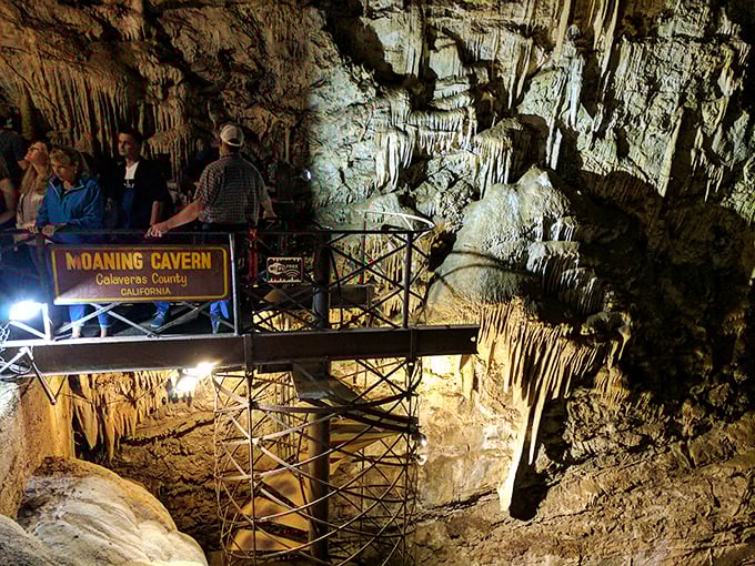 Visitors cross the metal walkway, experiencing that perfect blend of awe and the slight concern that someone might accidentally drop their phone into the abyss.