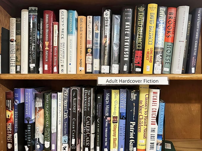 Adult fiction fills shelves with literary adventures, offering page-turning escapes for less than a fancy coffee drink costs.