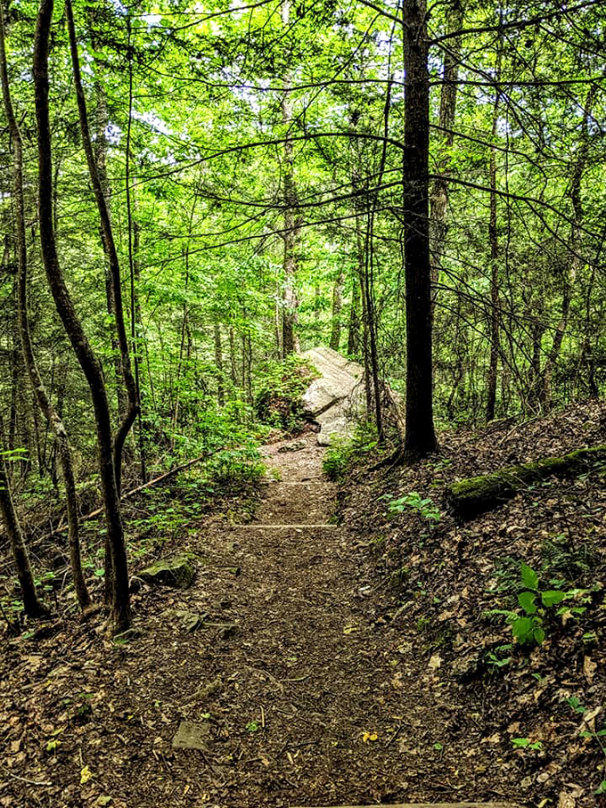 The trail beckons through a cathedral of trees, promising that what awaits at the end is worth every bead of perspiration.