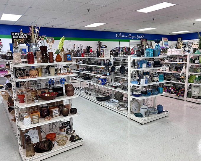 Shelves overflow with decorative possibilities, where one person's clutter transforms into another's perfect finishing touch.