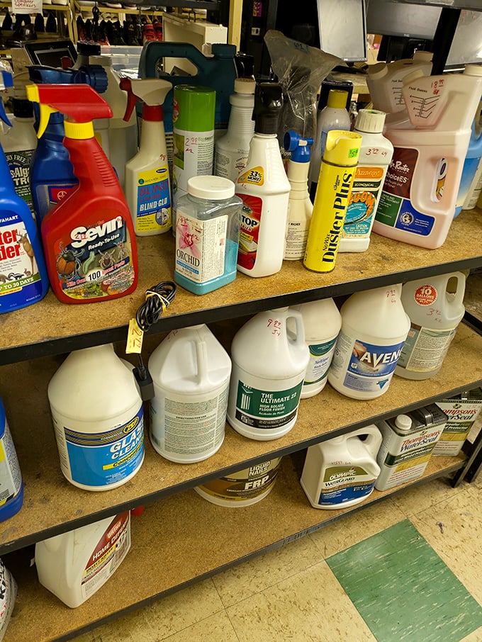 Cleaning supplies and household chemicals at thrift store prices&mdash;because saving money on Pine-Sol means more cash for vintage treasures.