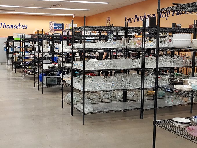 Crystal kingdoms and porcelain empires stretch as far as the eye can see&mdash;each shelf a gallery of domestic artifacts seeking new homes.