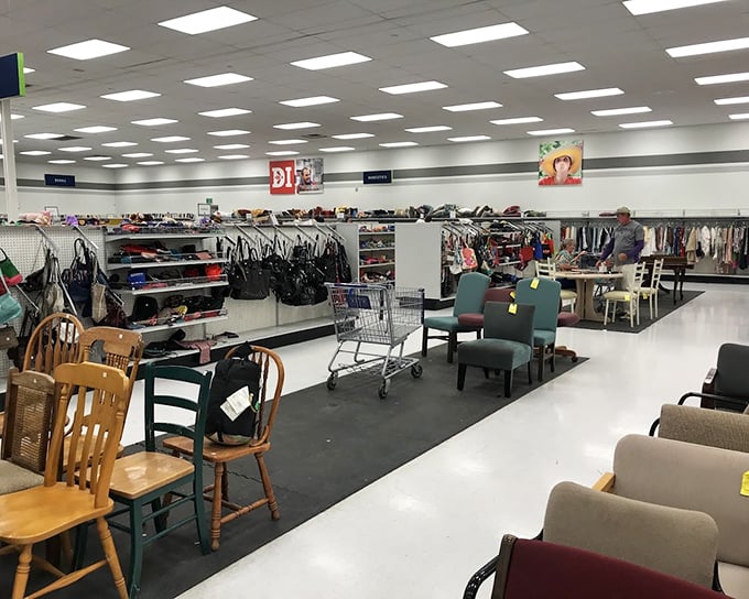 Furniture and clothing coexist in this retail ecosystem, where that perfect armchair might be waiting just past the rack of vintage denim.