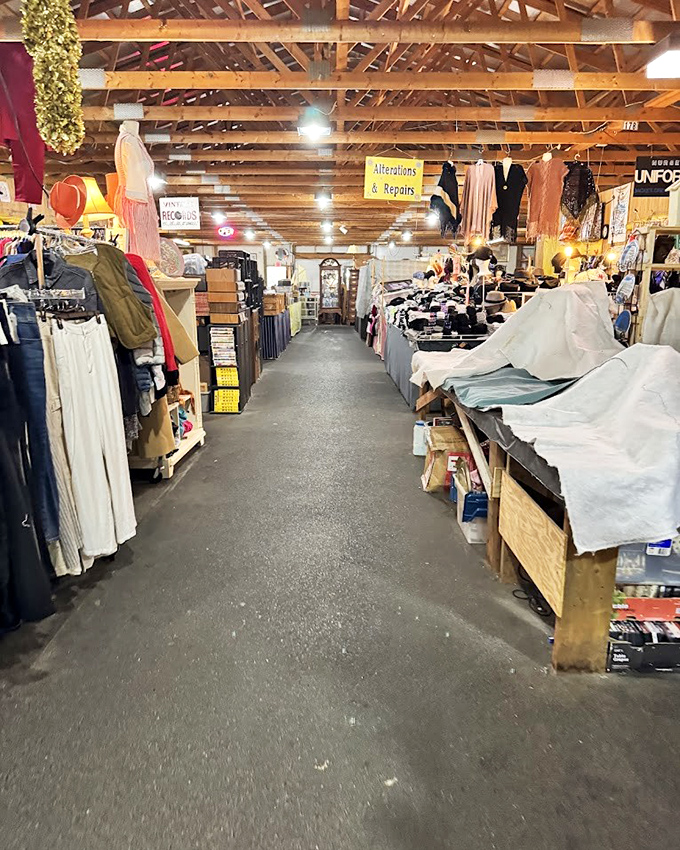 The Amish candy shop corridor—where diet resolutions go to die and childhood memories come alive in glass display cases.
