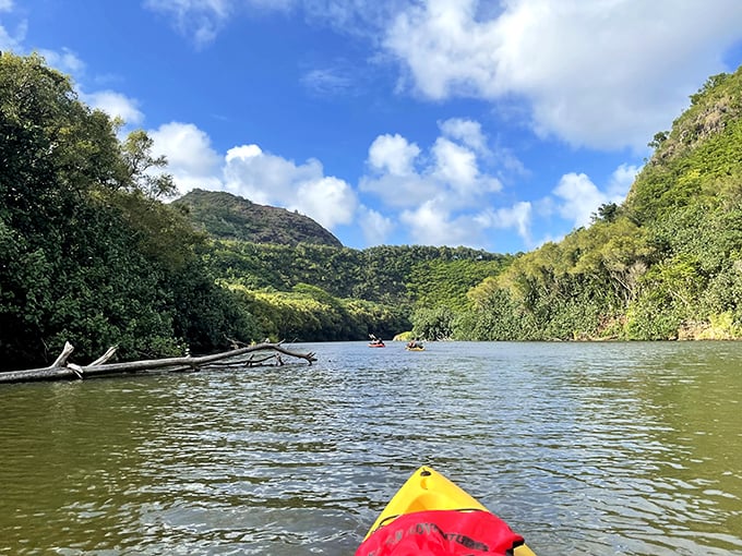 Kayaking the Wailua: Where every paddle stroke takes you deeper into Hawaii's emerald heart.