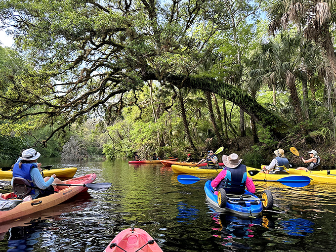 Kayaking under natural archways of ancient oaks &ndash; like Venice's gondola rides but with possible alligator sightings as a bonus.