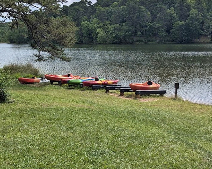 Colorful kayaks wait patiently by the shore, like eager puppies hoping for an adventure. Water toys for grown-ups who still know how to play.