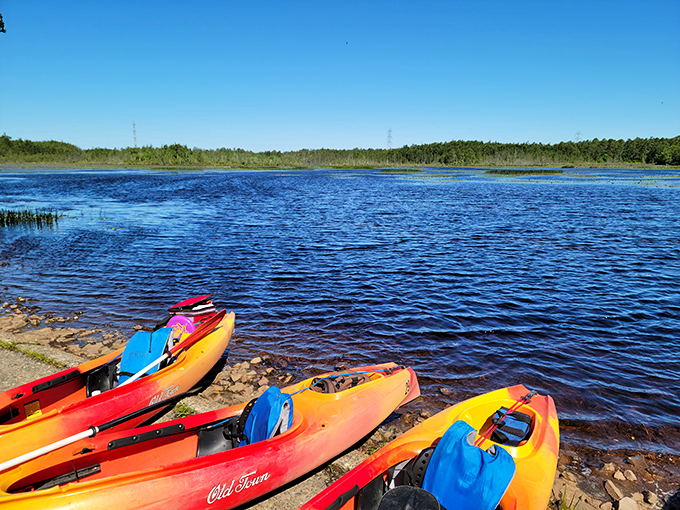 These colorful kayaks rest like patient pets, eager for their next adventure on the glassy waters of the Pine Barrens.