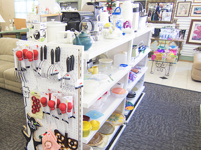 Kitchen implements that outlasted their original owners' enthusiasm for cooking, now waiting for your ambitious culinary phase to begin.