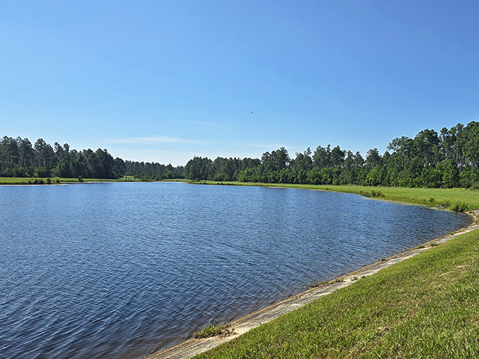 Serenity now! The peaceful lake near Bamahenge offers a moment of tranquility after all that time-traveling through prehistoric monuments and dinosaur encounters.
