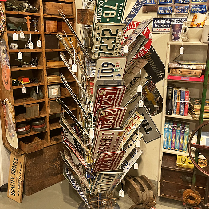 License plate nirvana! Each rusty rectangle tells a story of road trips, family vacations, and that dent from the unfortunate parking lot incident.